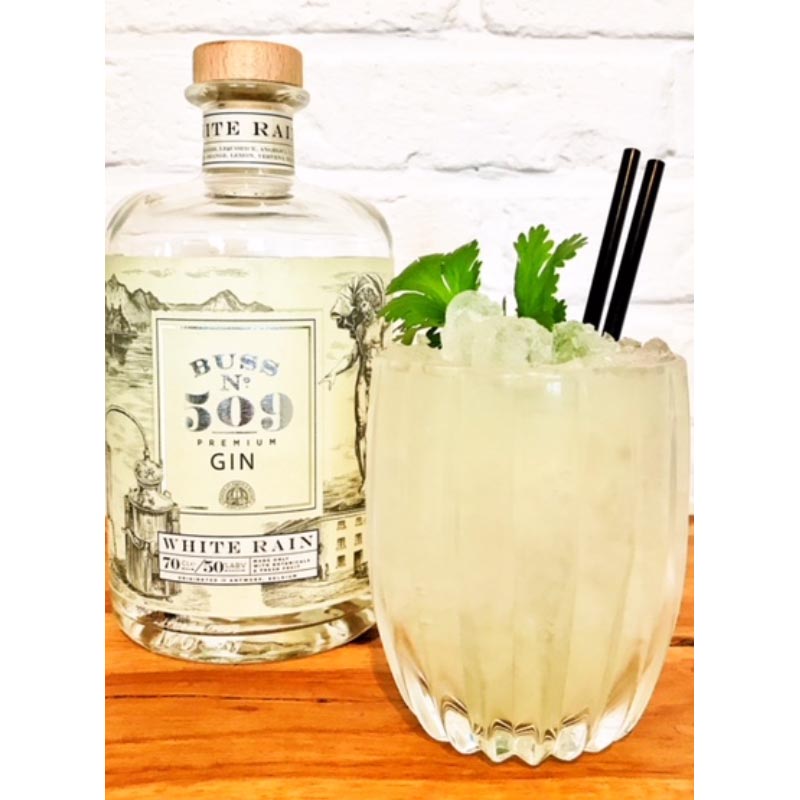BUSS N°509 ASIA MULE – Buss Spirits